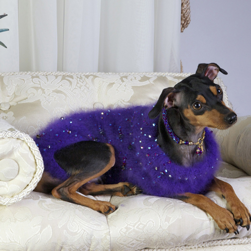 Design Your Own Dog Clothes Your DIY Resource Bark And Swagger Design Your Own Dog Clothes Your DIY Resource Bark And Swagger
